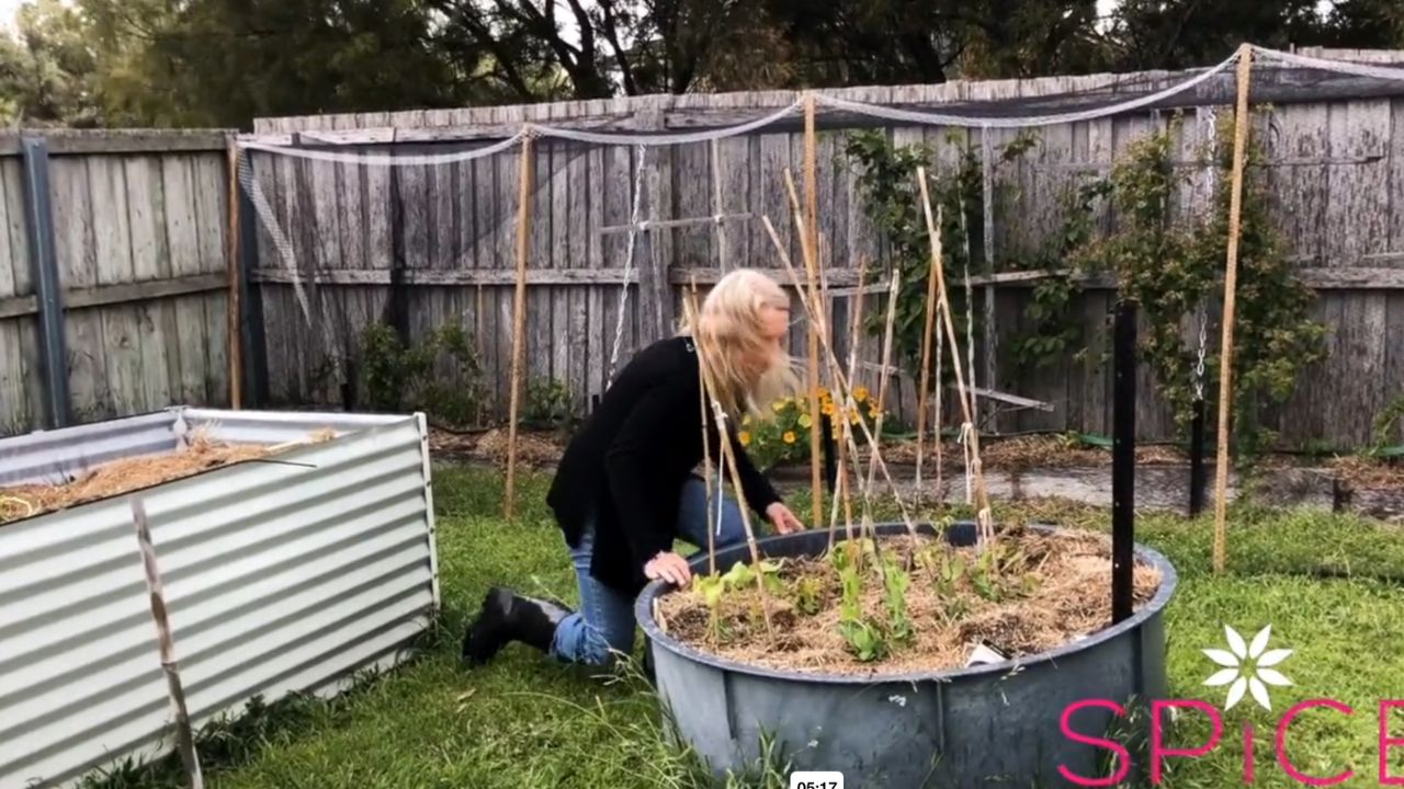 Body breaking down - Start strength training - GrandmaSTRONG